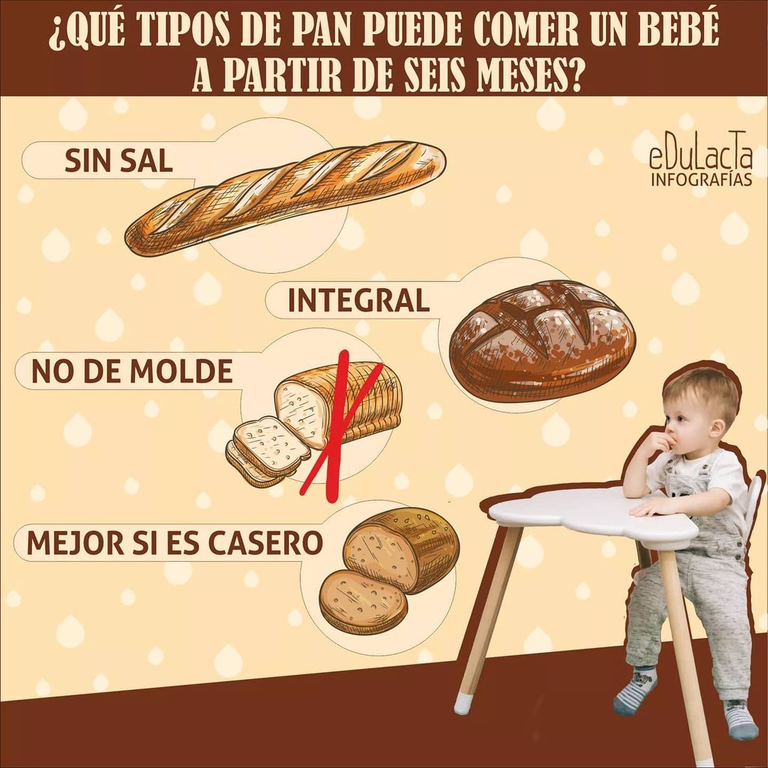 Infografía: Tipos de pan a partir de los 6 meses. - Edulacta