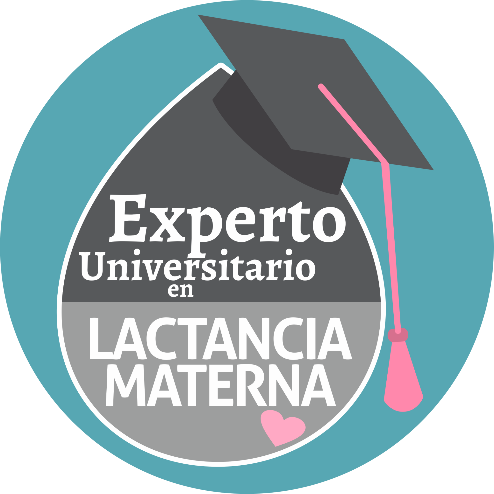CURSO DE EXPERTO UNIVERSITARIO DE LACTANCIA MATERNA 2024 - Edulacta CURSO DE EXPERTO UNIVERSITARIO DE LACTANCIA MATERNA 2024 - Edulacta