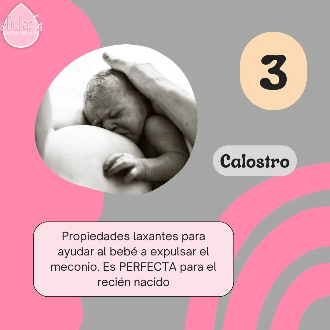 El calostro es la leche del recién nacido - Edulacta