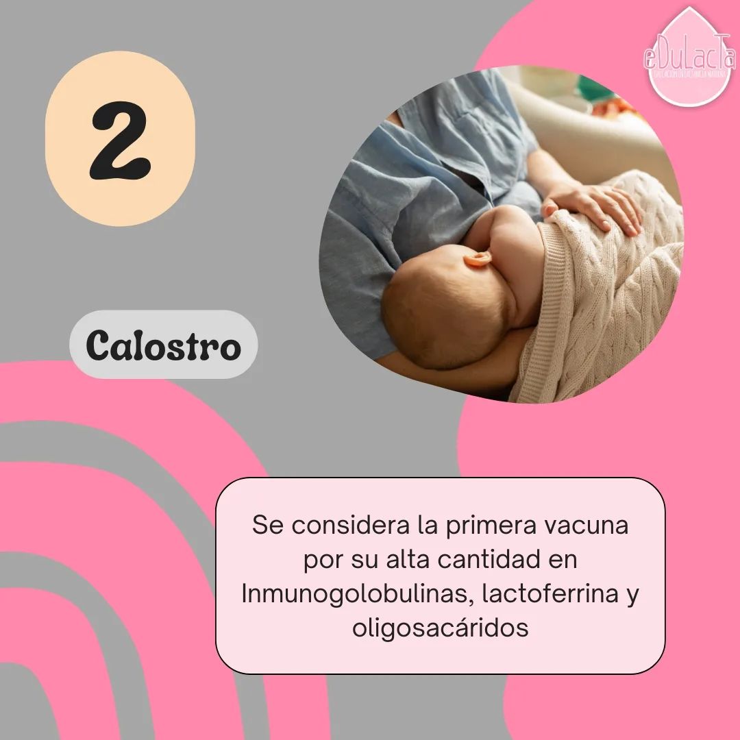 El calostro es la leche del recién nacido - Edulacta