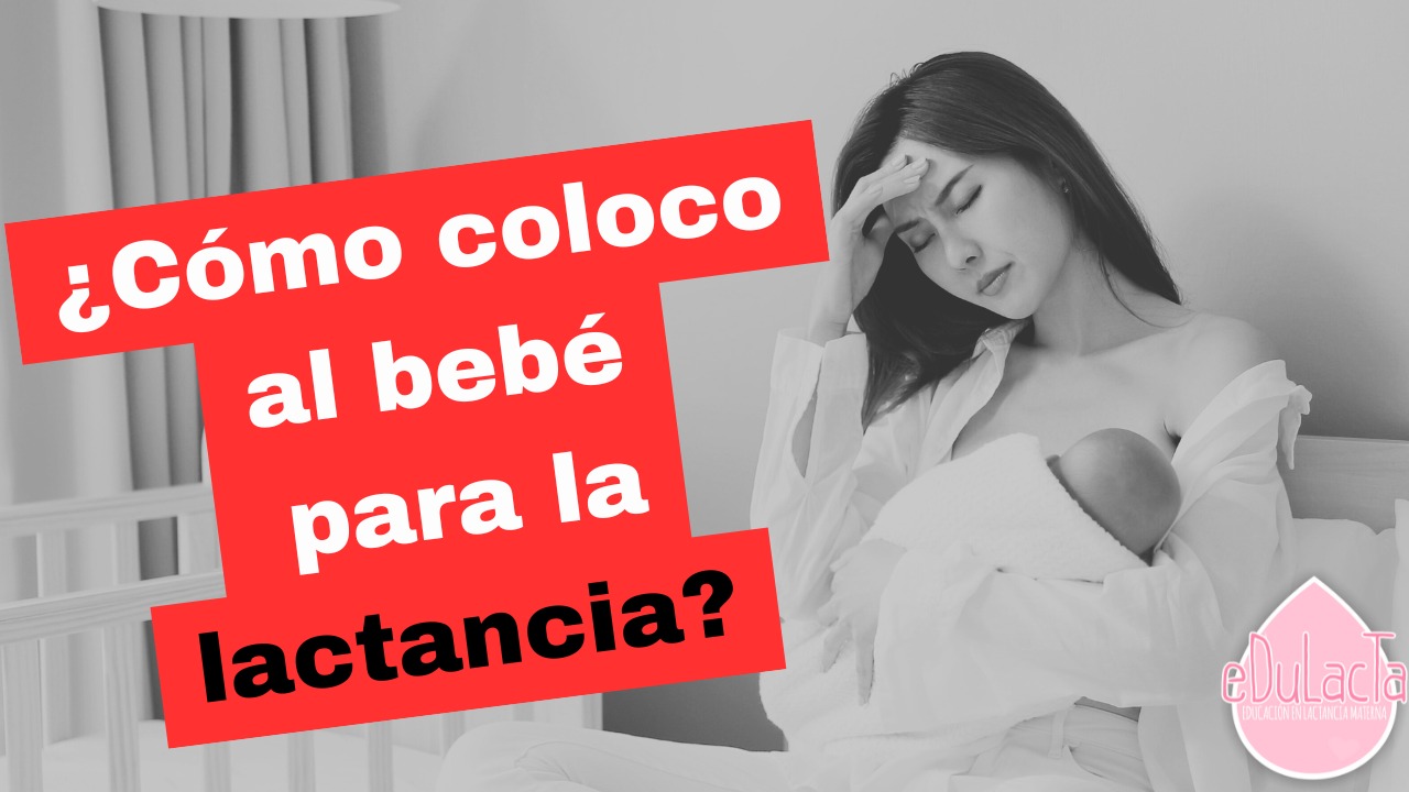 ¿Por qué no sabemos colocar al bebé al pecho para AMAMANTAR? - Edulacta